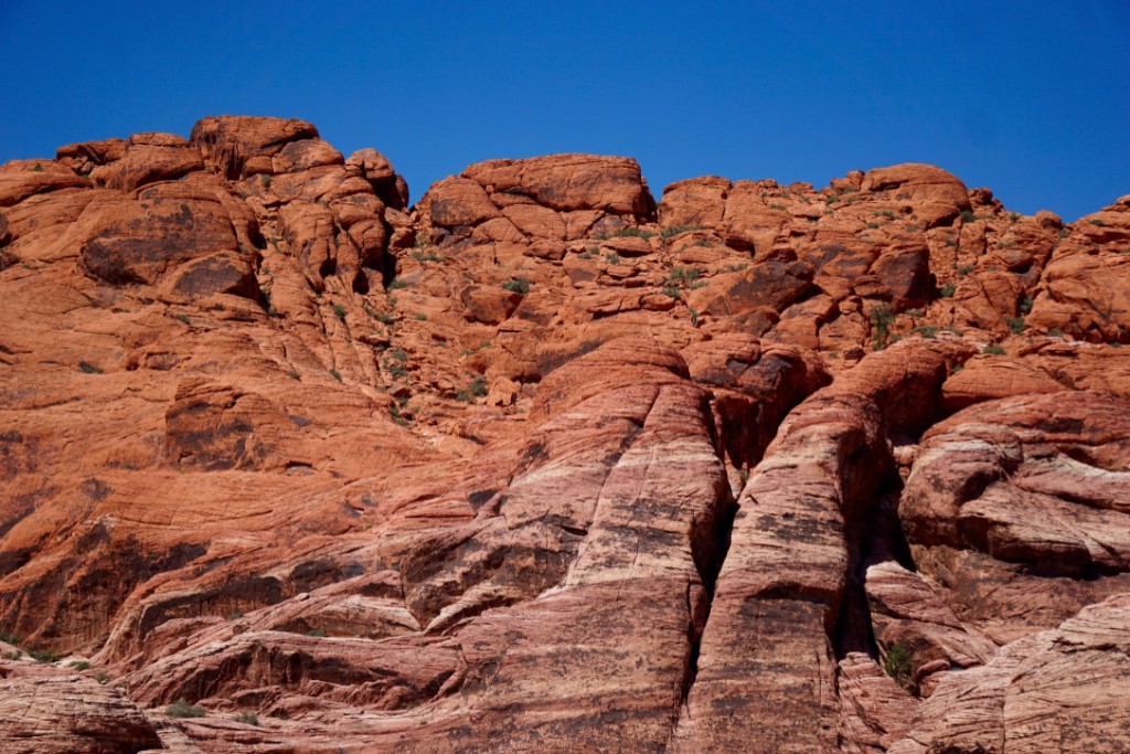 Las Vegas: Visitando o Red Rock Canyon - Viajonários