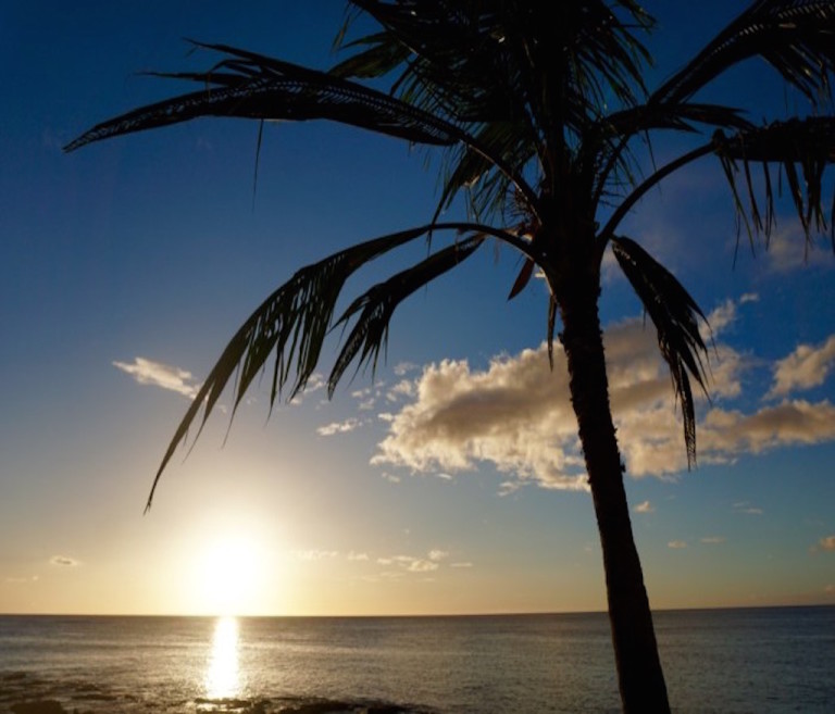 O que você precisa saber antes de viajar para o Havaí - Viajonários