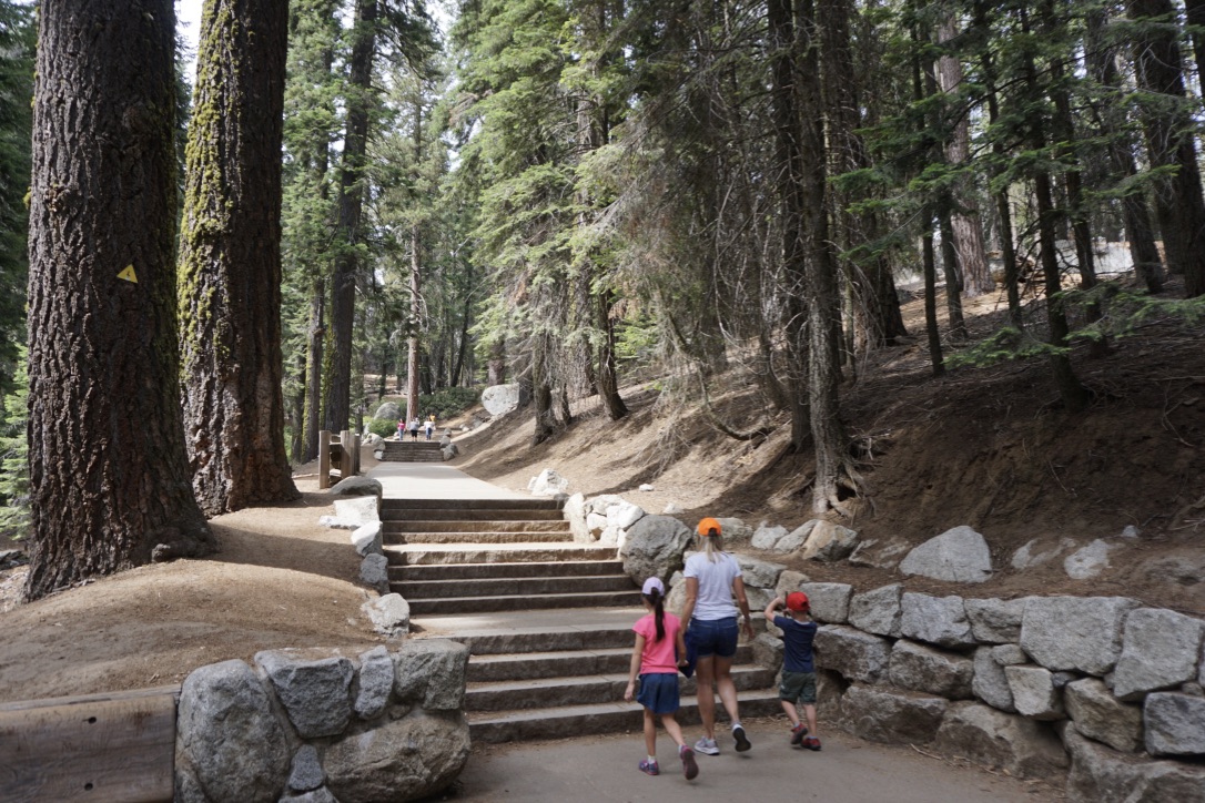 Califórnia: Sequoia National Park, o parque das sequoias gigantes ...