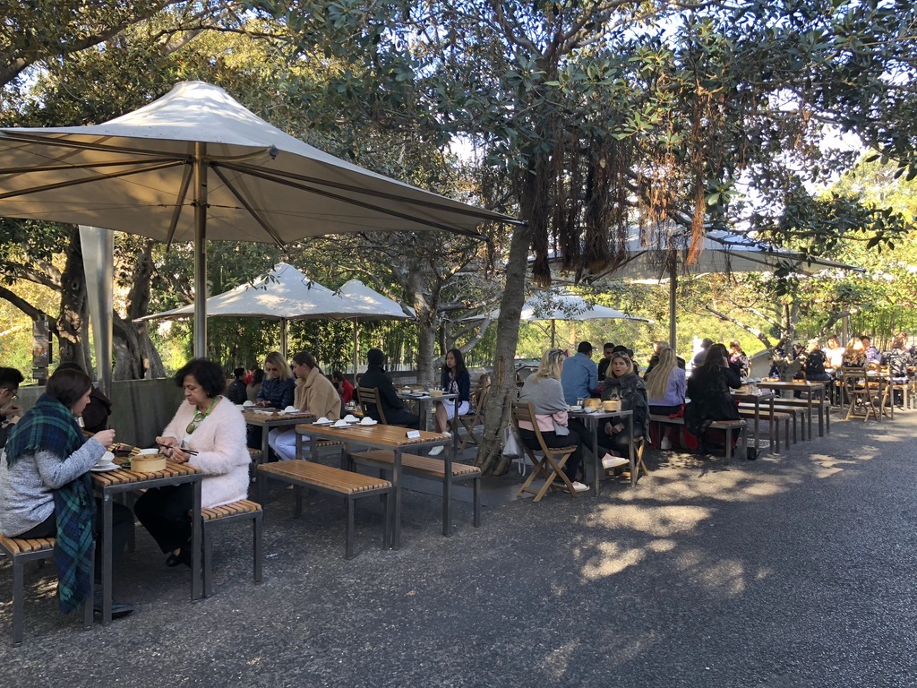 Bodhi Restaurant: deliciosa comida asiática vegana em Sydney - Viajonários