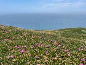 Point Reyes: Praias, vistas e natureza ao norte de San Francisco