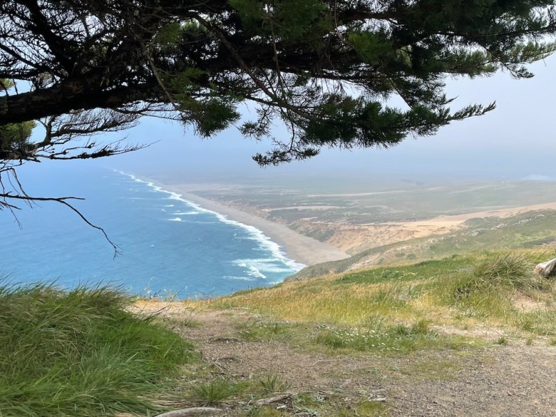 Point Reyes: Praias, vistas e natureza ao norte de San Francisco