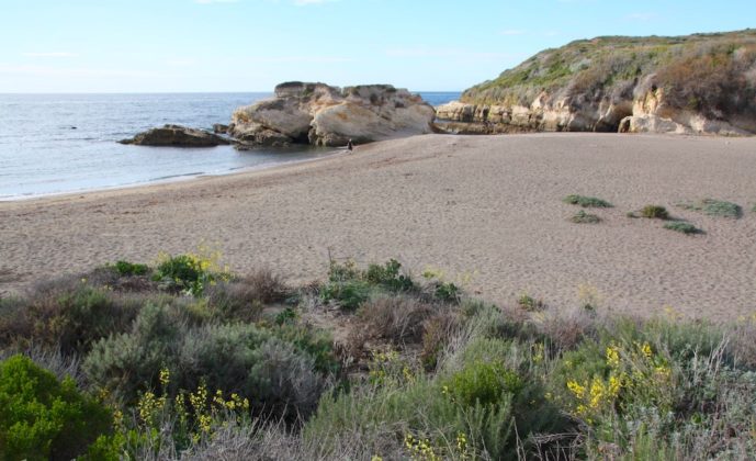 Litoral da Califórnia: O que fazer em Morro Bay - Viajonários