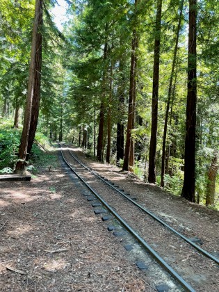 Roaring Camp: Velho Oeste e passeios de trem na Califórnia
