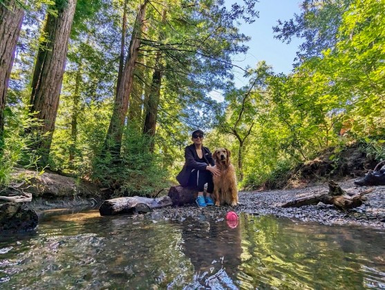 Redwood Grove Nature Preserve: reserva natural na Califórnia - Viajonários